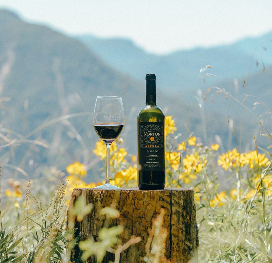 Bodega Norton: A century at the forefront of Argentinian wine - Decanter