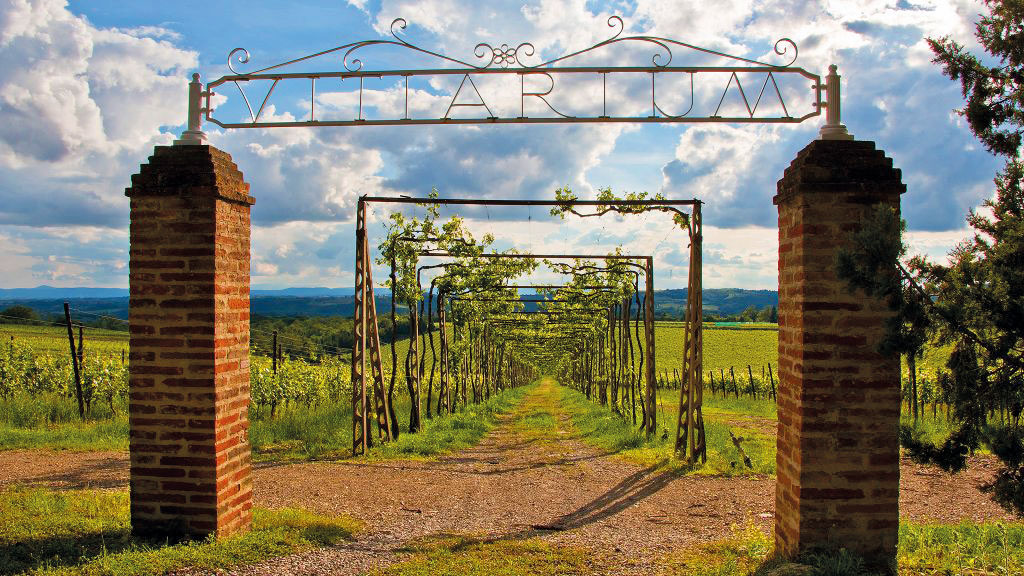 San Felice: A winery with a view - Decanter