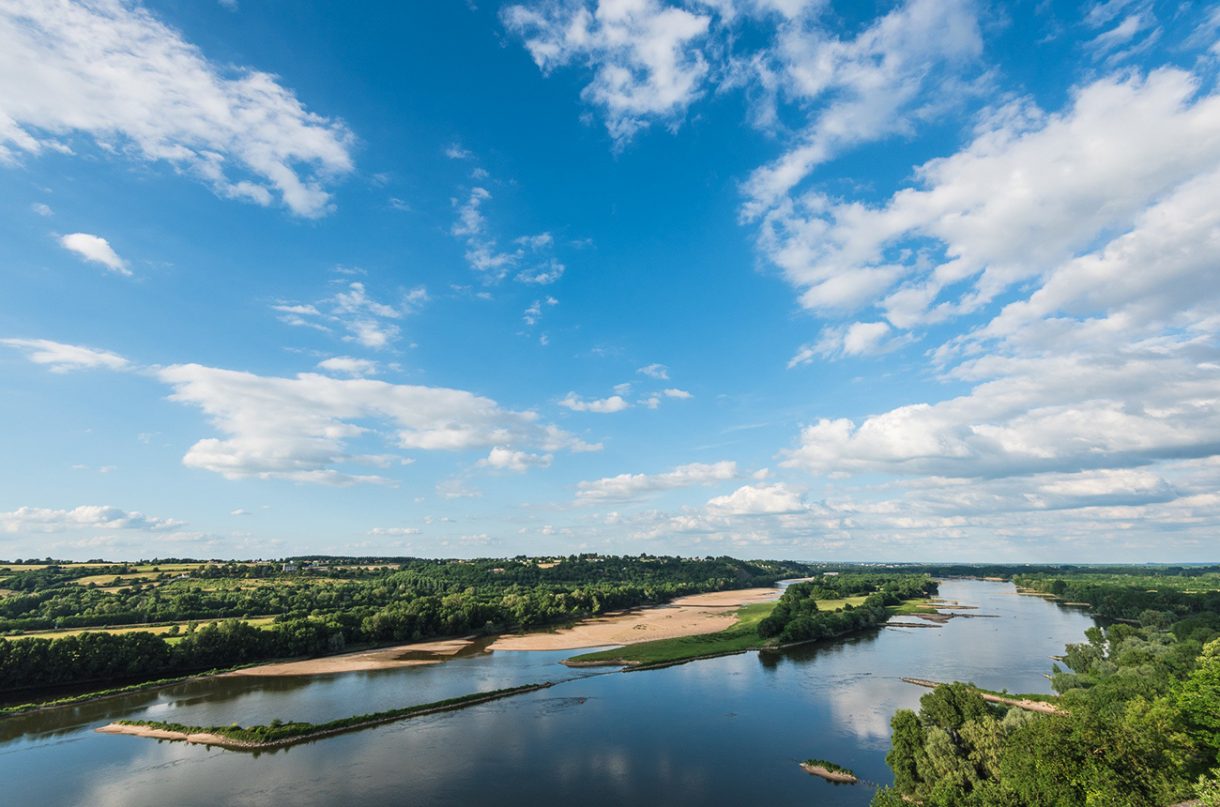 Magic in Muscadet: 20 Crus Communaux wines to try - Decanter