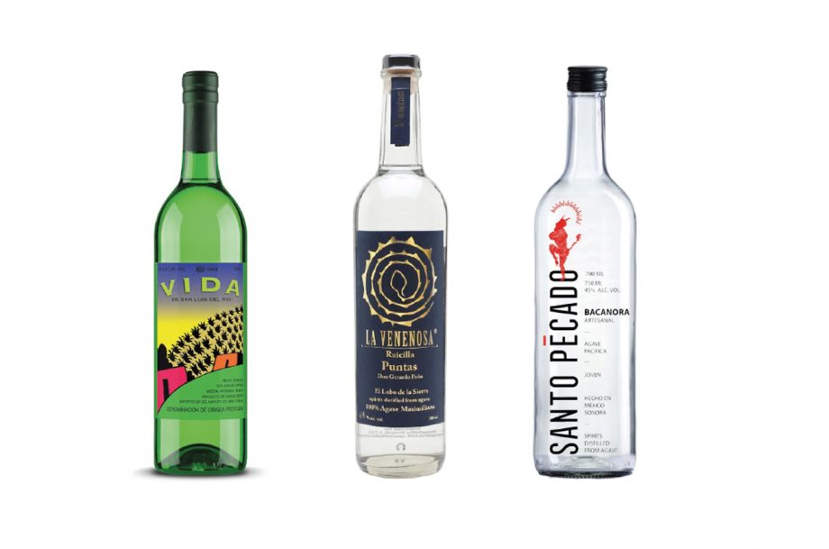 Alternative agave spirits - Decanter