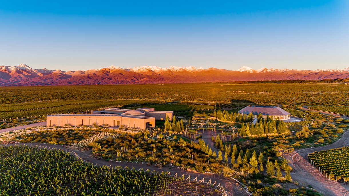 Bemberg Estate Wines - quality and terroir-focused pioneers - Decanter