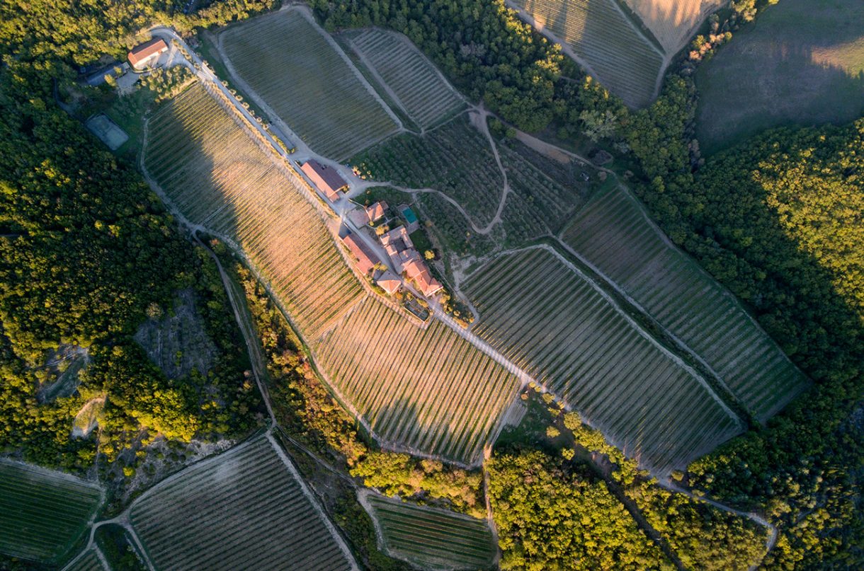 Ipsus: The making of a modern Italian cru - Decanter