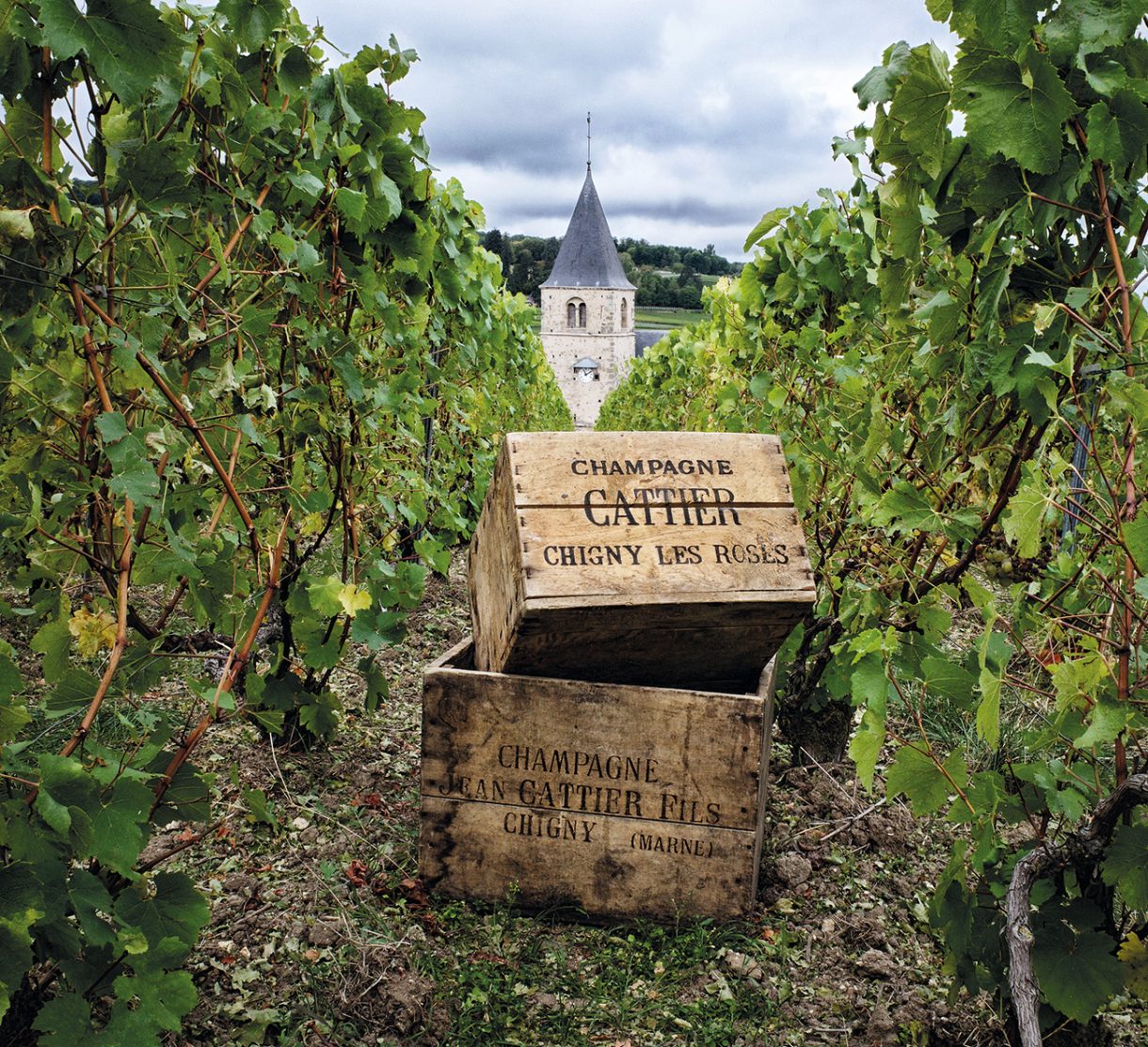 Champagne Cattier - A history of craftsmanship and creativity - Decanter