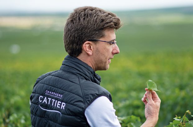 Champagne Cattier - A history of craftsmanship and creativity - Decanter