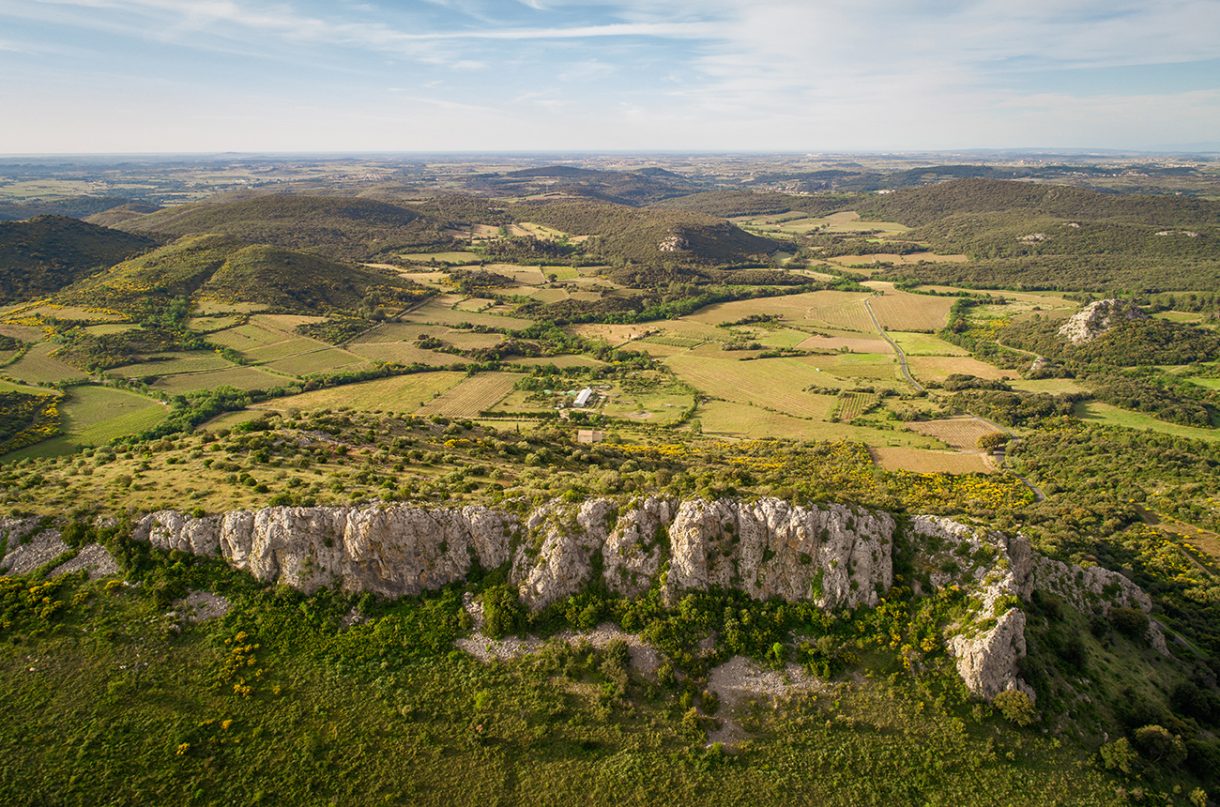 Variety in abundance: discovering the Languedoc’s Côtes de Thongue ...