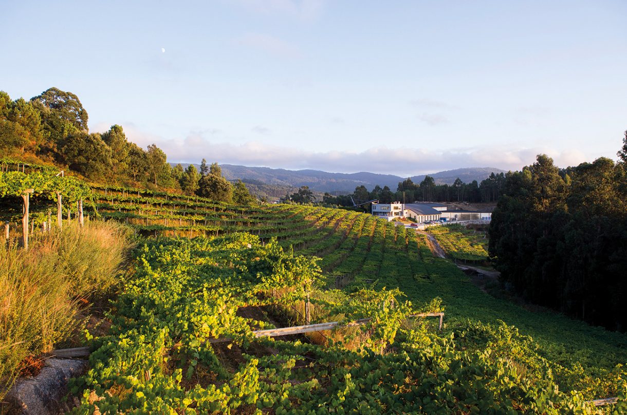 Rías Baixas - 10 Facts to Know - Decanter