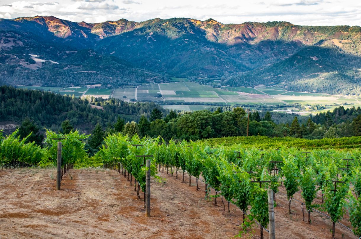 Spring Mountain 2019: top Cabernets from this Napa AVA - Decanter