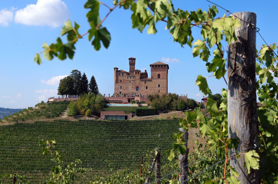 Barolo’s en primeur set to grow - Decanter