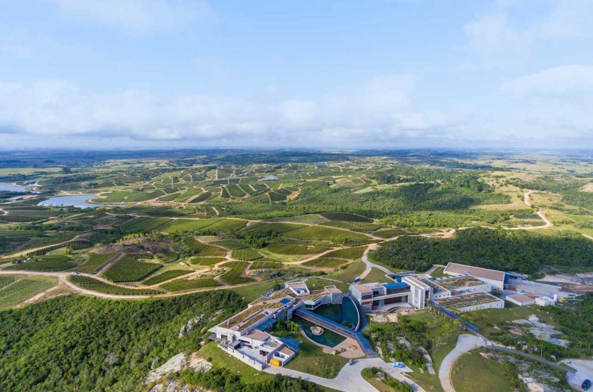 Uruguay's coastal whites plus 10 top wines to try - Decanter