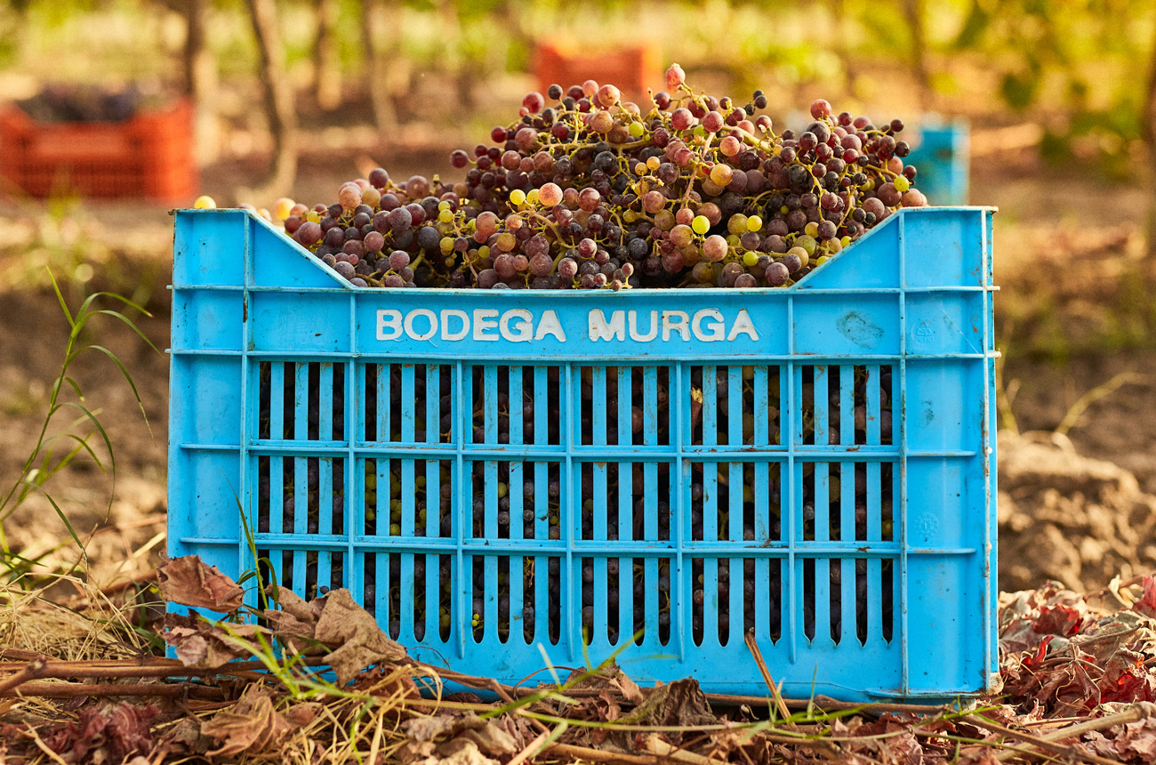 Peru: get to know the wines and regions - Decanter