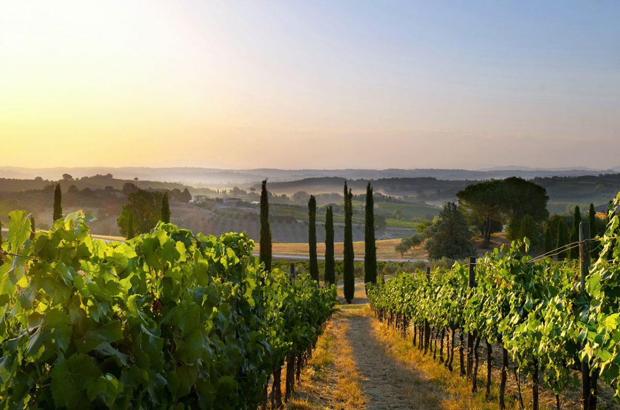 Tuscany's Frescobaldi unveils Calimaia estate in Montepulciano - Decanter