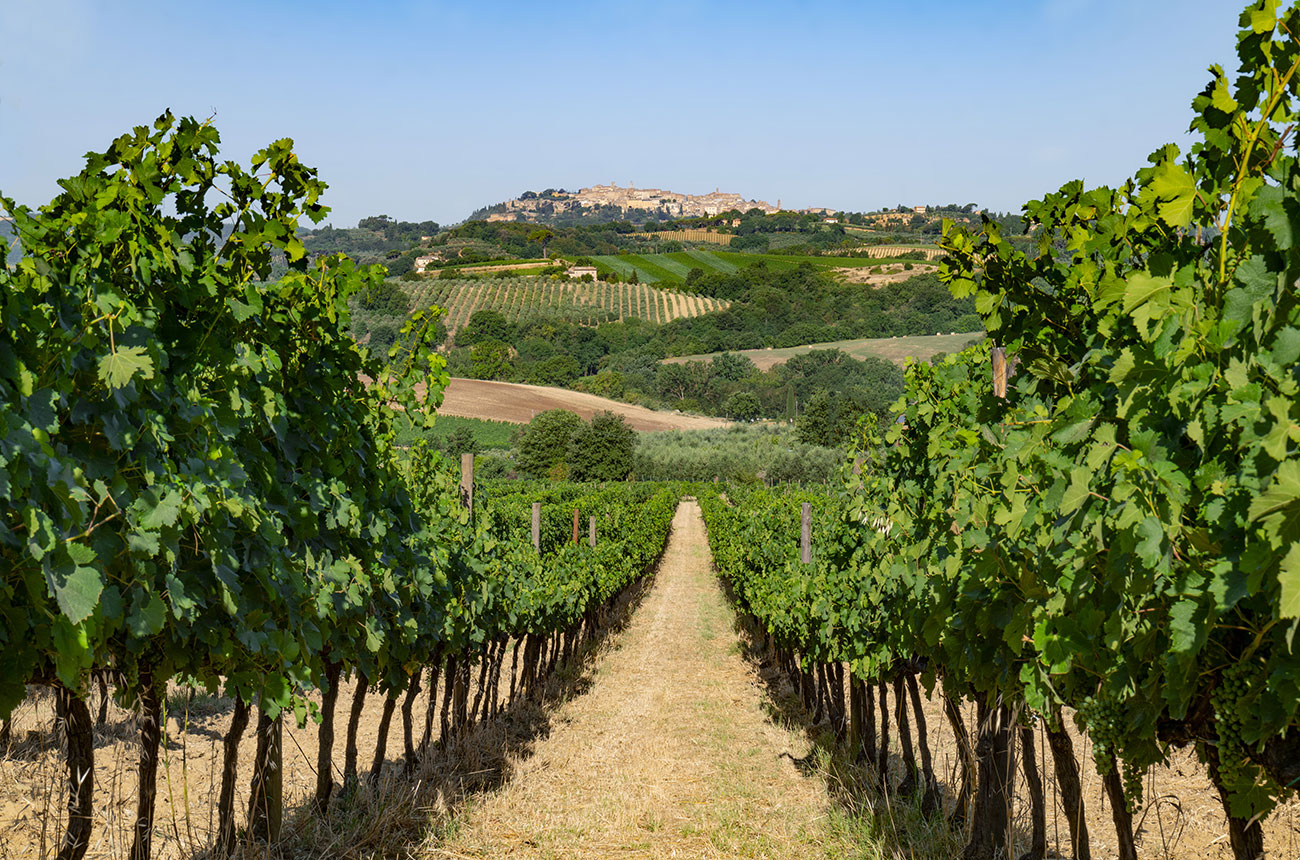 Tuscany's Frescobaldi unveils Calimaia estate in Montepulciano - Decanter
