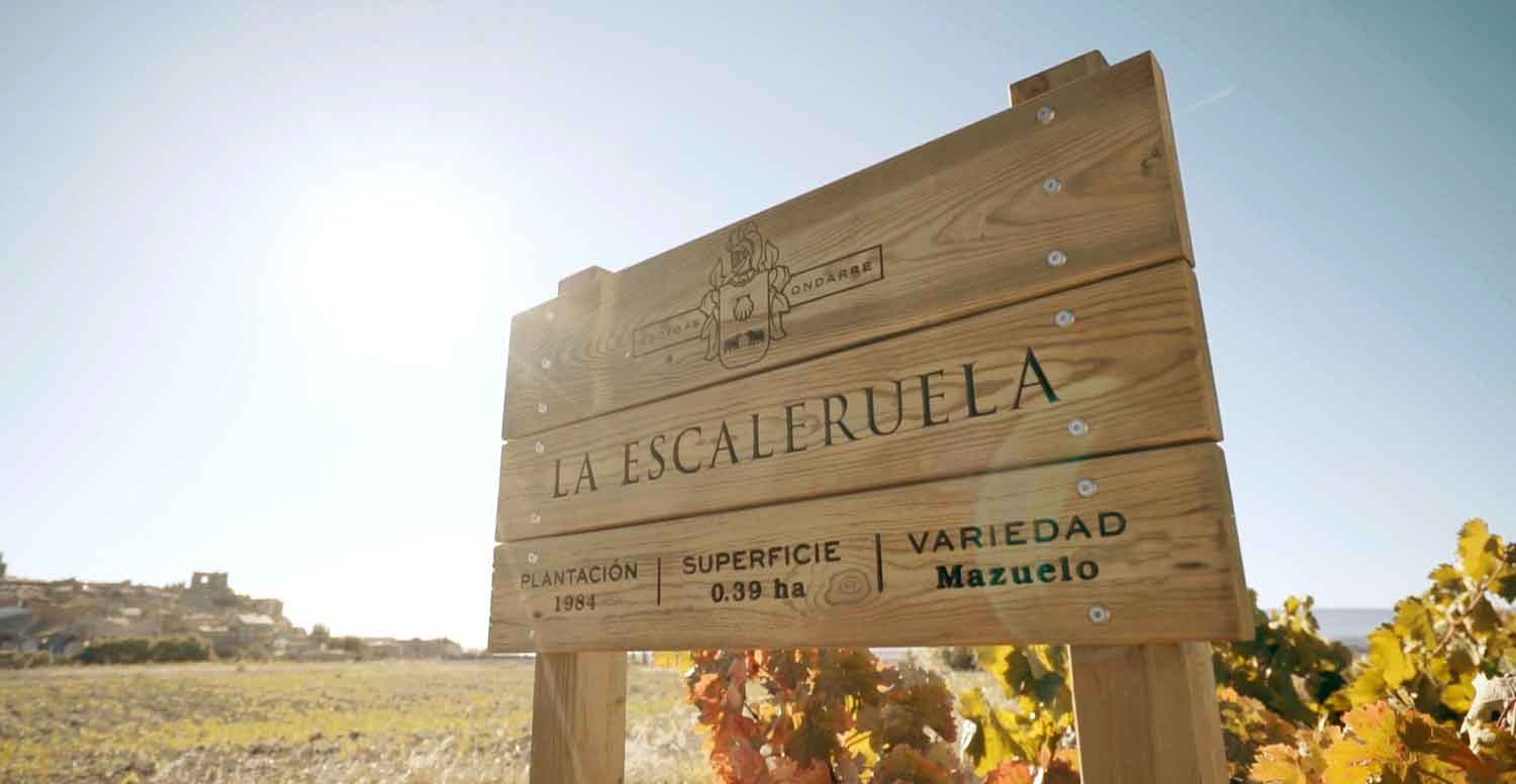 Bodegas Ondarre - Pioneering champions of Rioja’s terroirs - Decanter