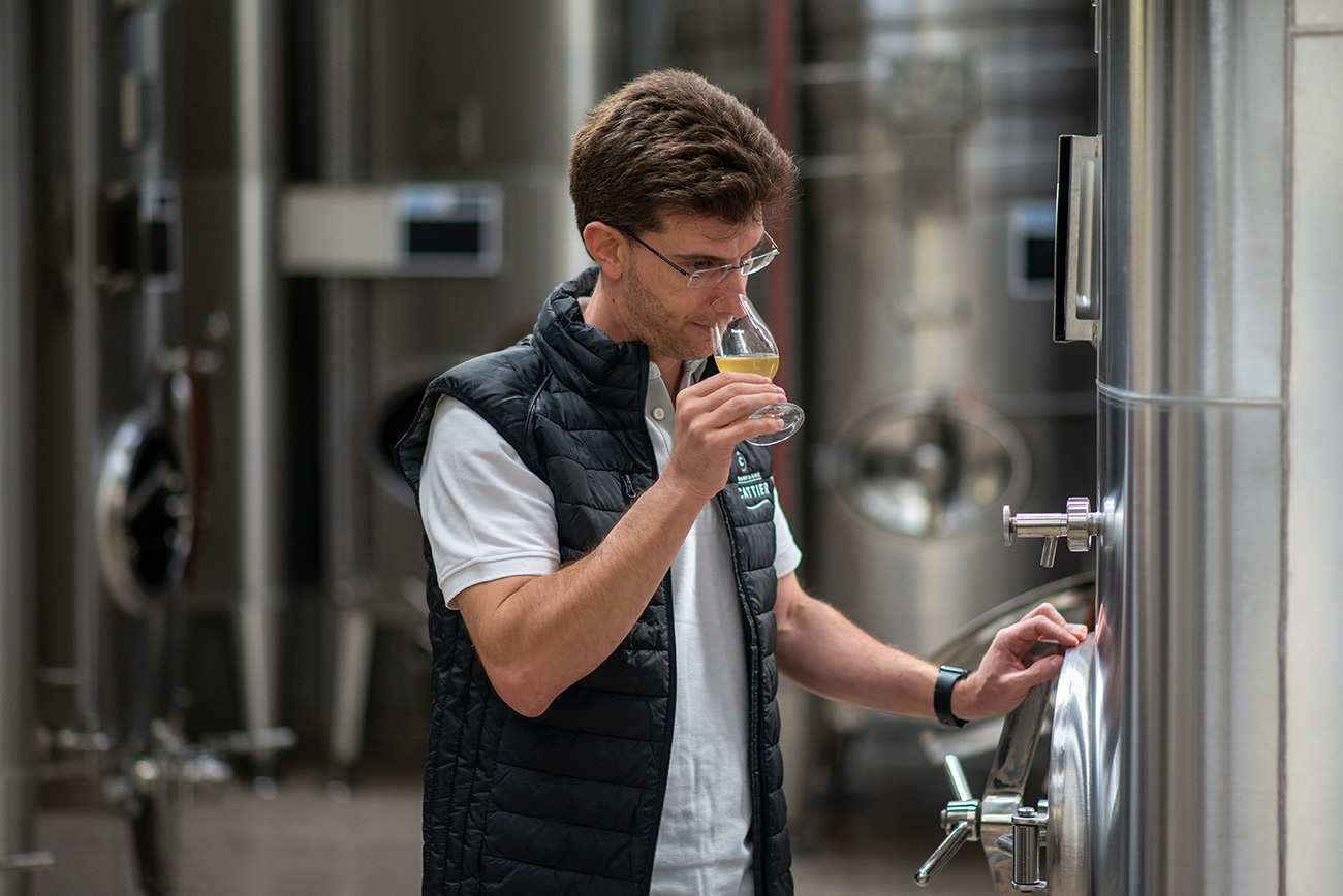 Champagne Cattier - The eternal return to the vineyard - Decanter