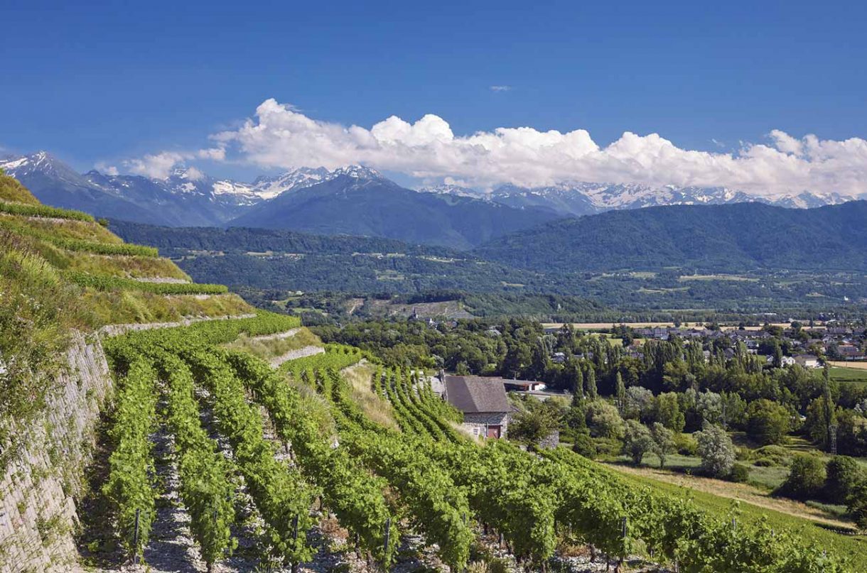 Expert's choice: Savoie - Decanter