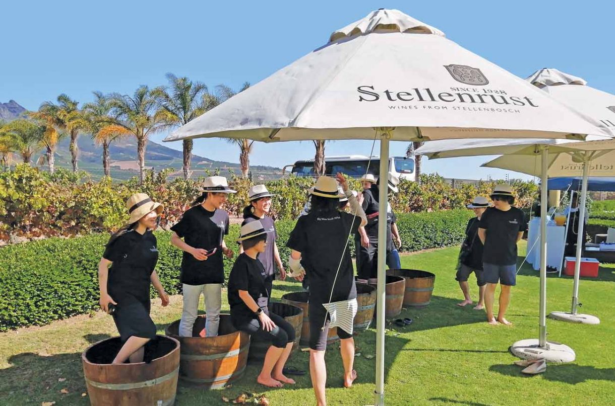 Unforgettable Cape wine experiences - Decanter