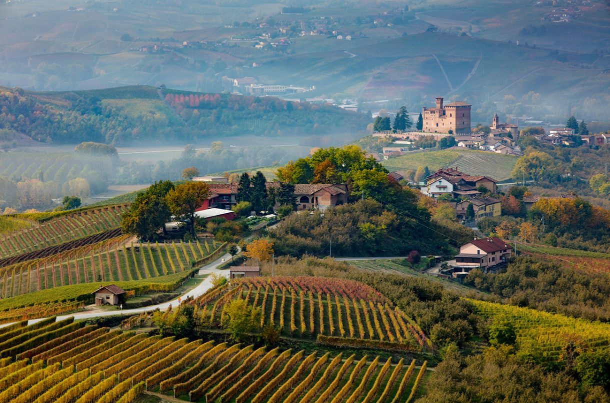 Barolo wine region