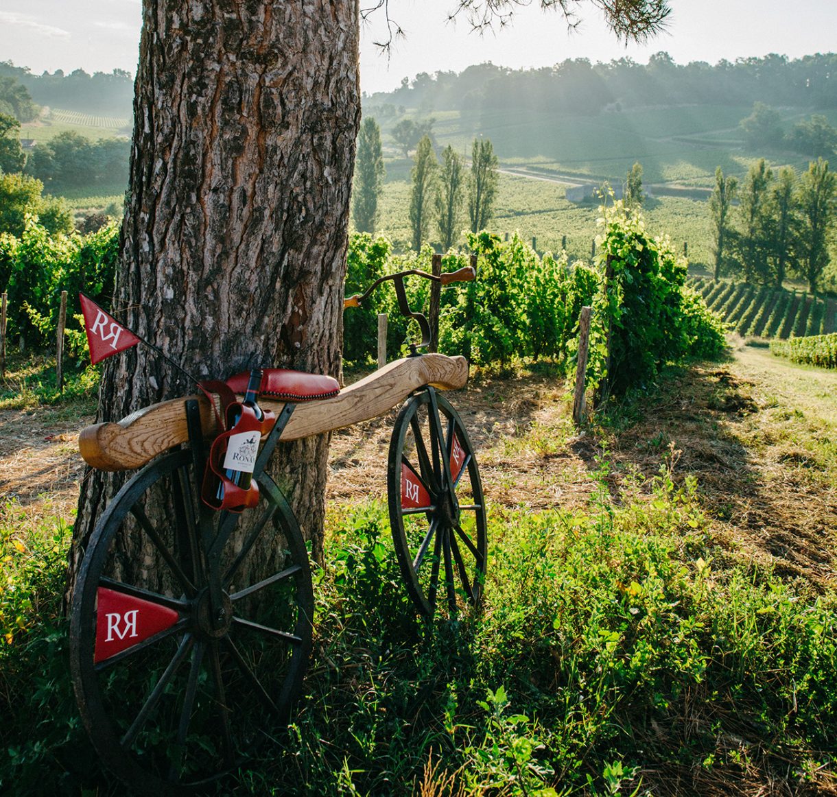 Ronan by Clinet - Bordeaux AOC wines - Decanter