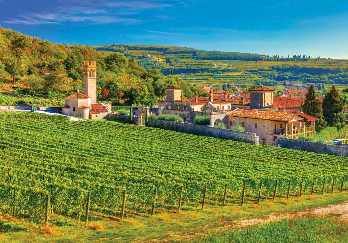 Touring Valpolicella - Decanter