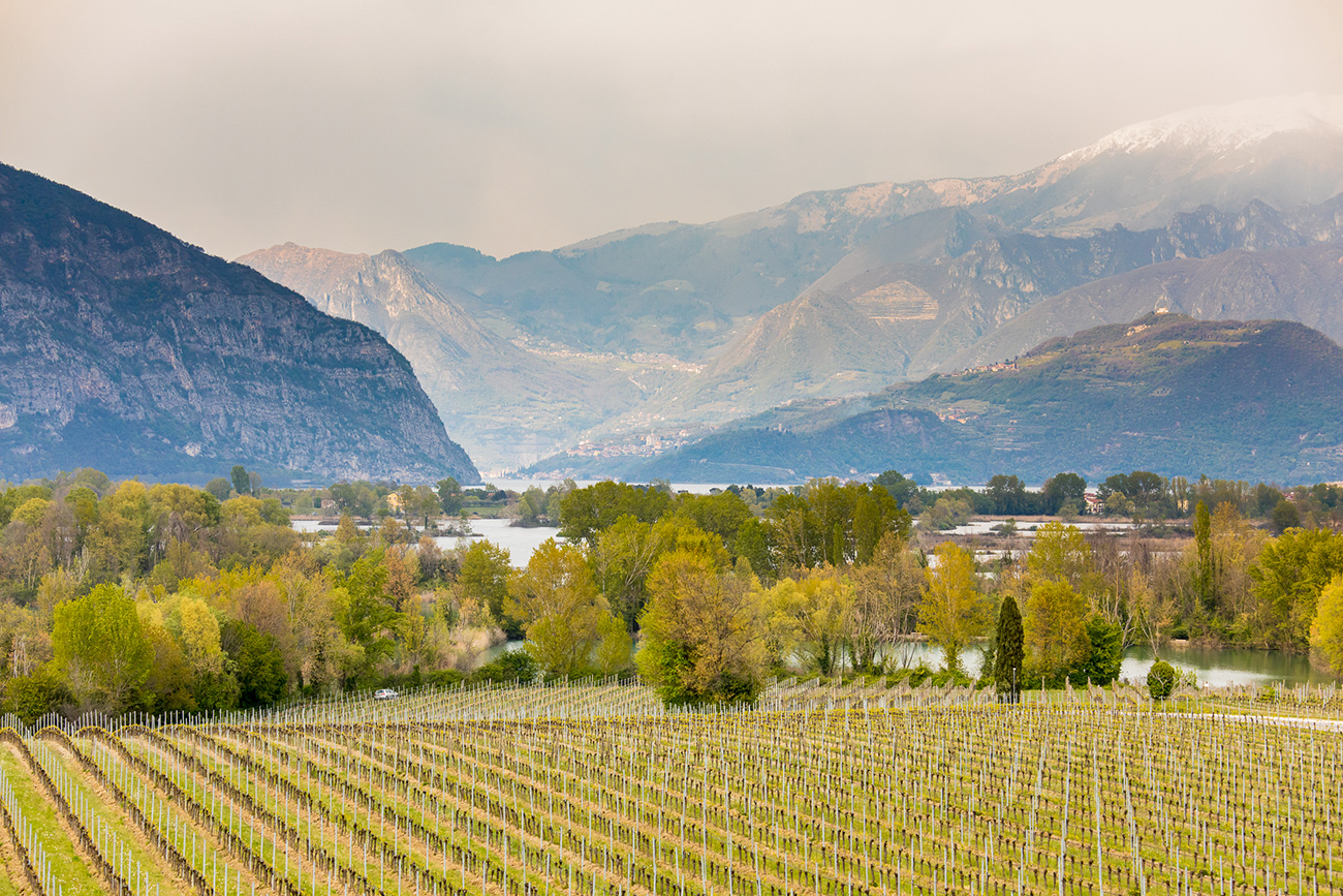 Franciacorta - Singular sparkling wines, made for the pleasure of the ...