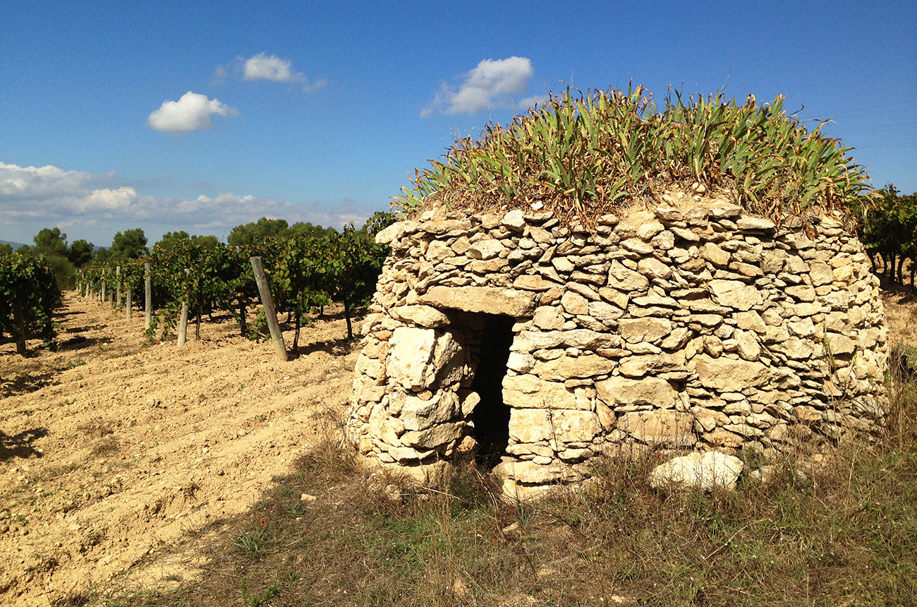 DO Penedès - 2700 years of winemaking history - Decanter