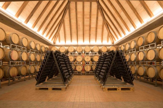 Piazzo - From the Langhe to the world - Decanter