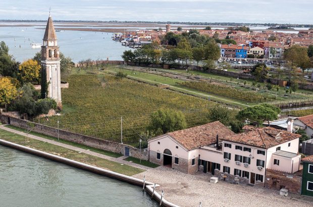 Italy’s urban vineyards – a marriage of past and present - Decanter