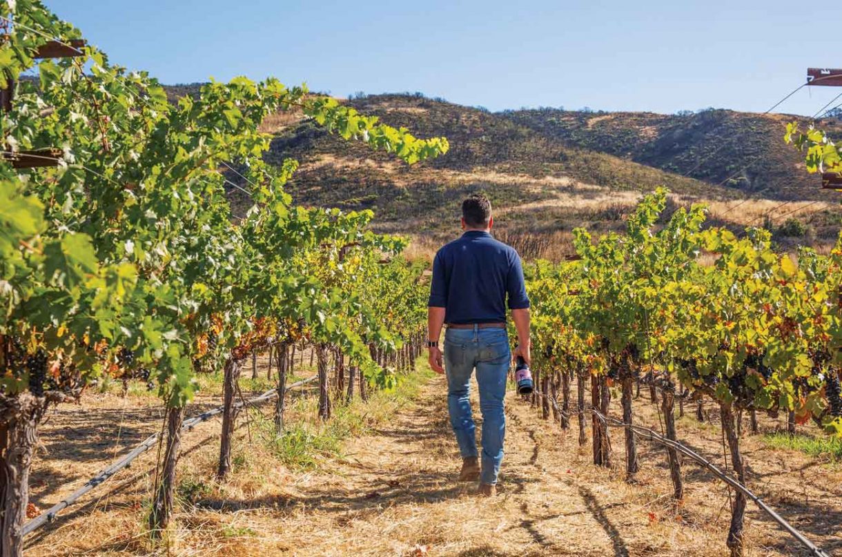 Producer profile: Orin Swift - Decanter