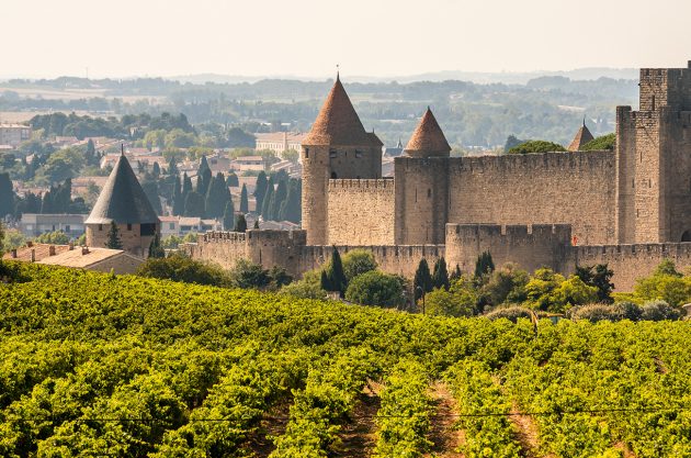Sud de France IGP Wines - Decanter