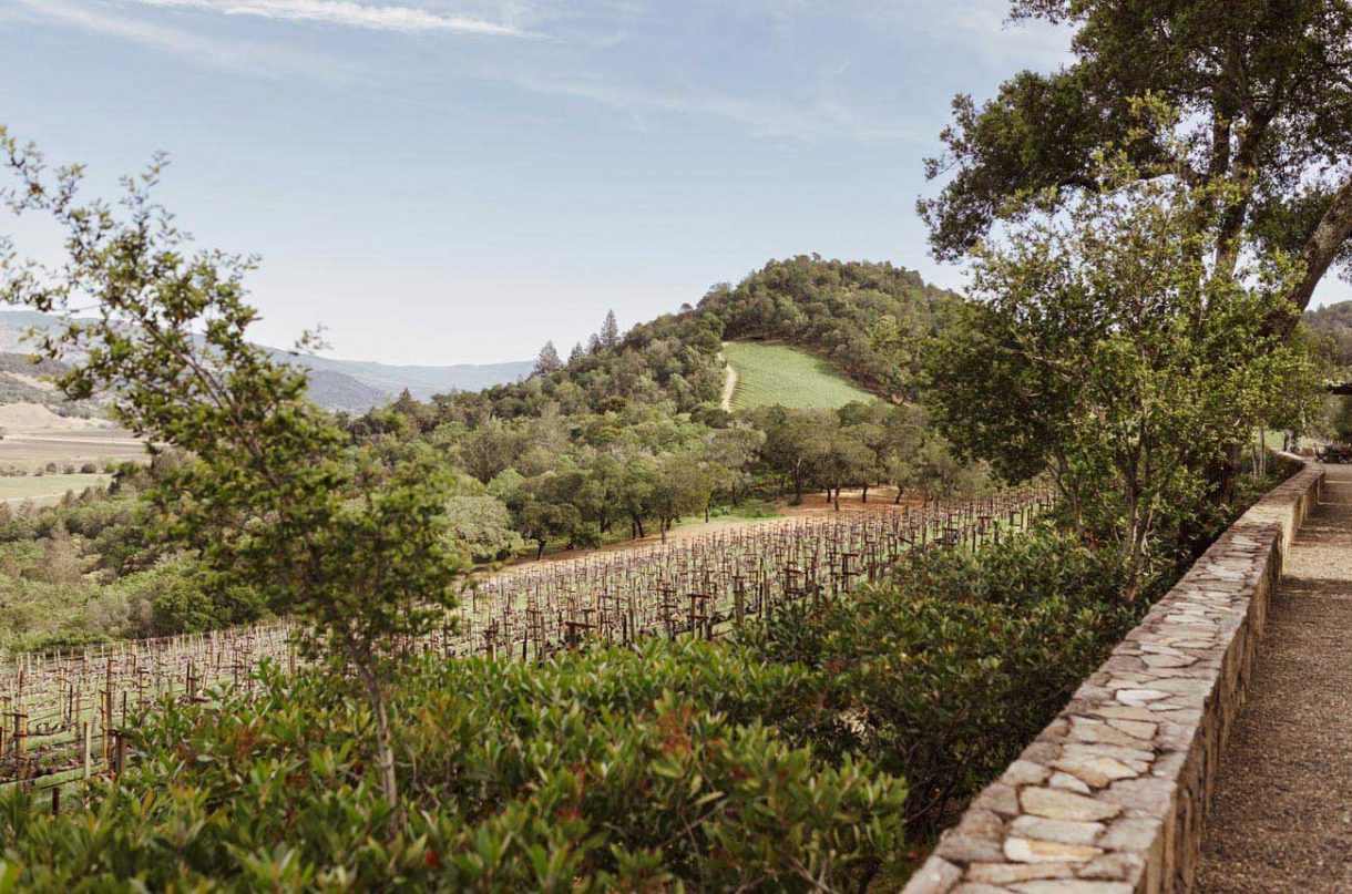 Harlan Estate: Secrets behind its vine-by-vine approach - Decanter