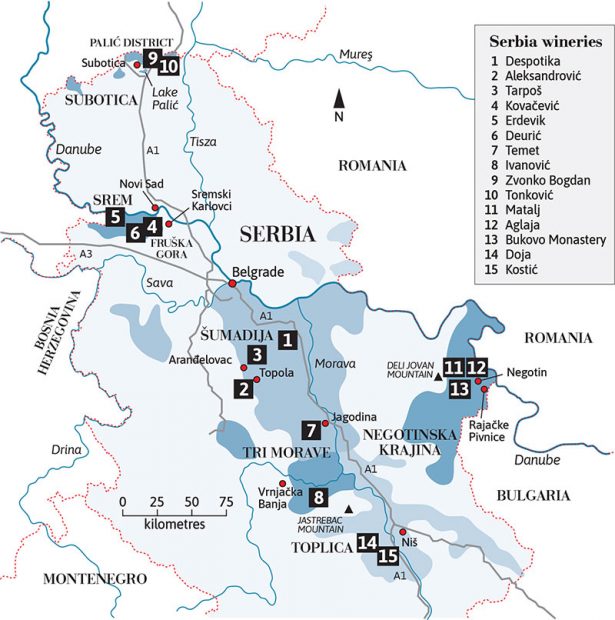 Around Serbia: Key wine regions to know - Decanter