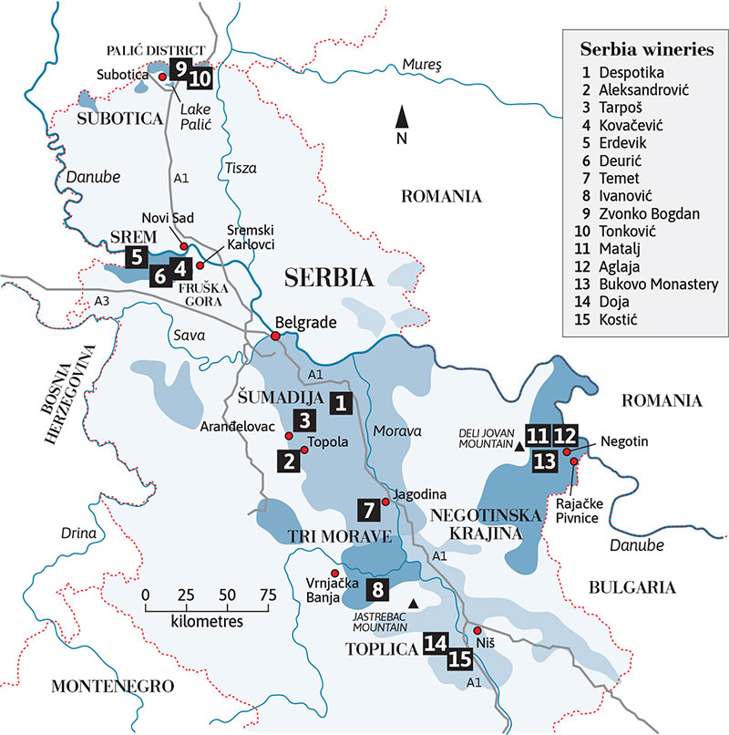 Around Serbia: Key wine regions to know - Decanter