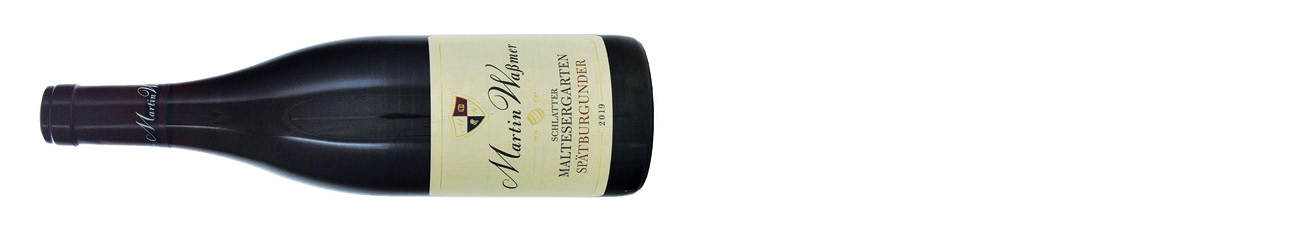 Wines to watch: International Pinot Noirs - Decanter