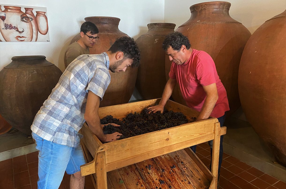 Old Moreto vineyards – a hidden Portuguese treasure - Decanter