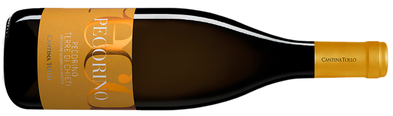 Cantina Tollo - A story of passion and resilience - Decanter