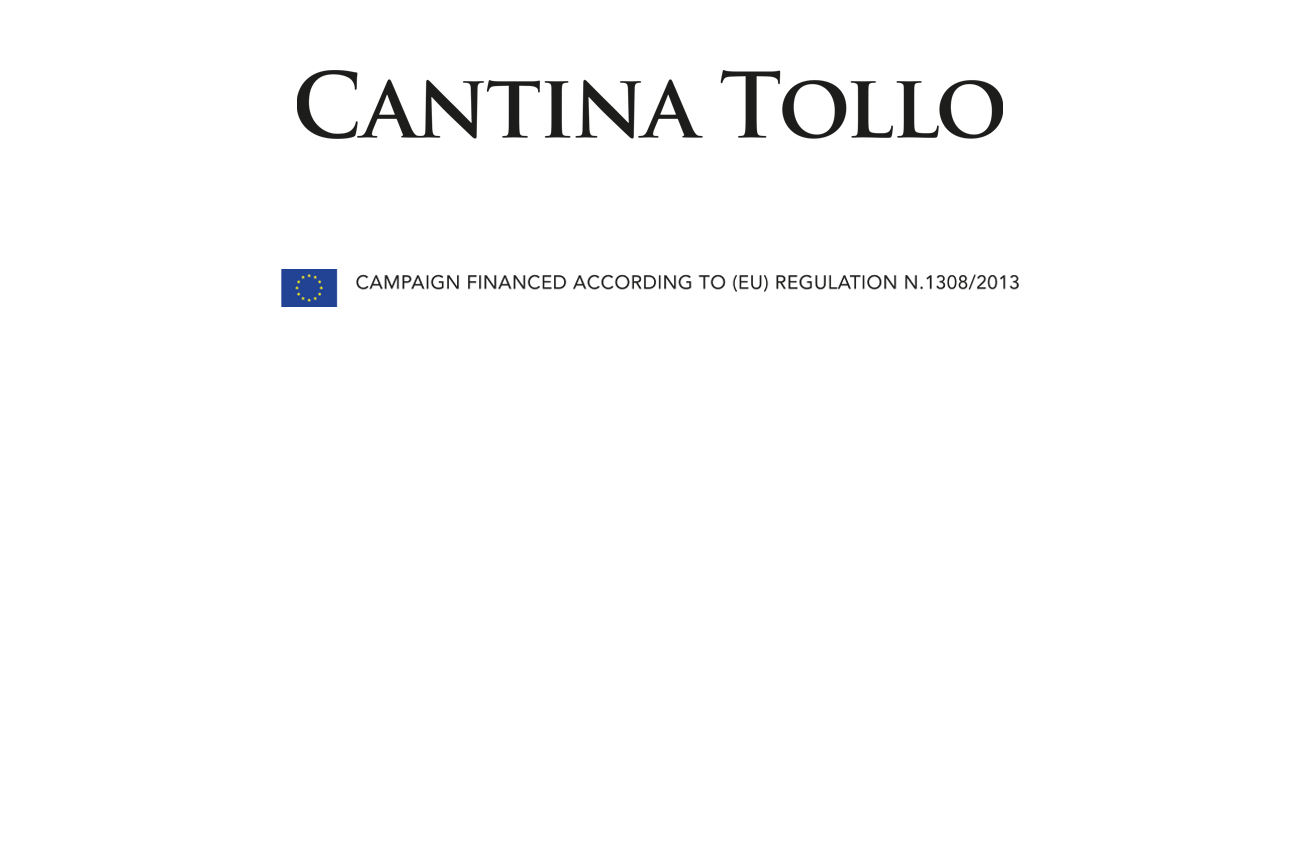 Cantina Tollo - A story of passion and resilience - Decanter