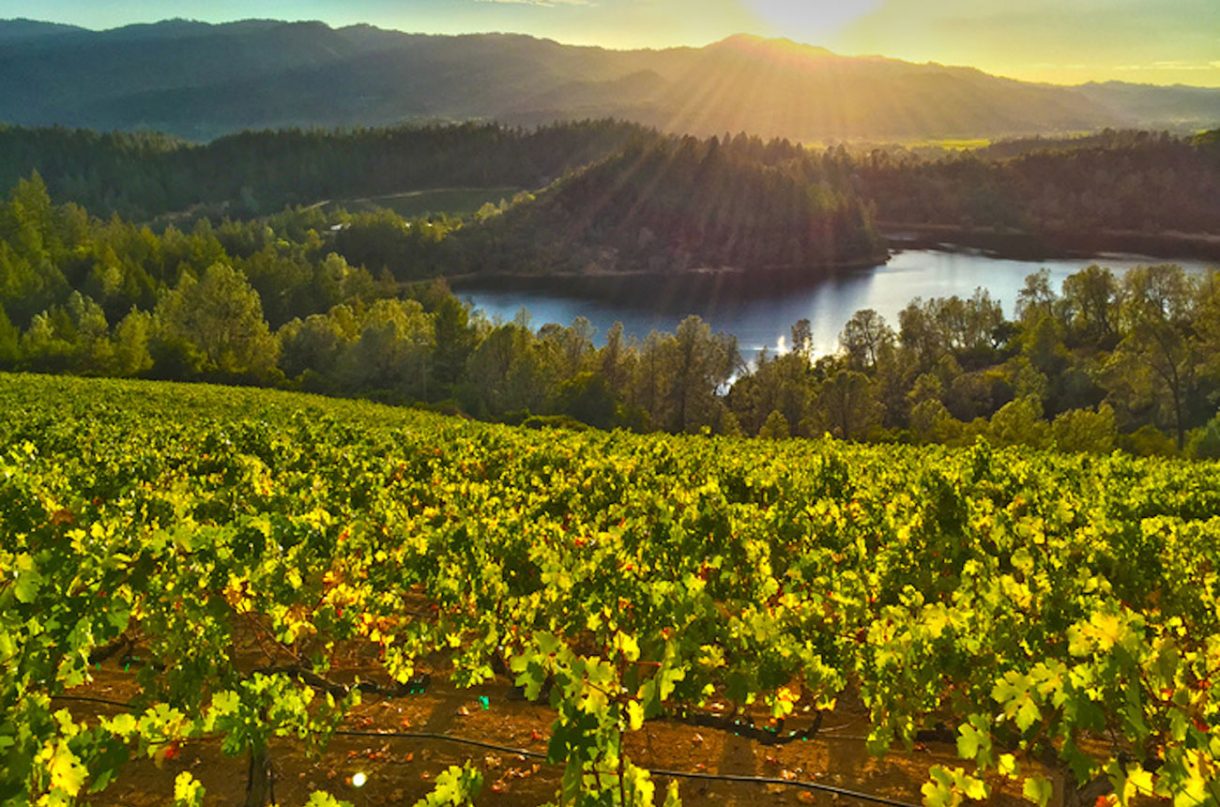 Crystal Springs of Napa Valley aims for appellation status - Decanter