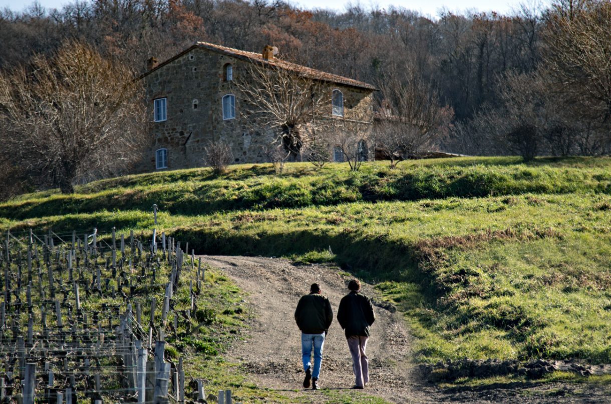 Tenuta di Trinoro: Producer profile & 18 wines tasted - Decanter