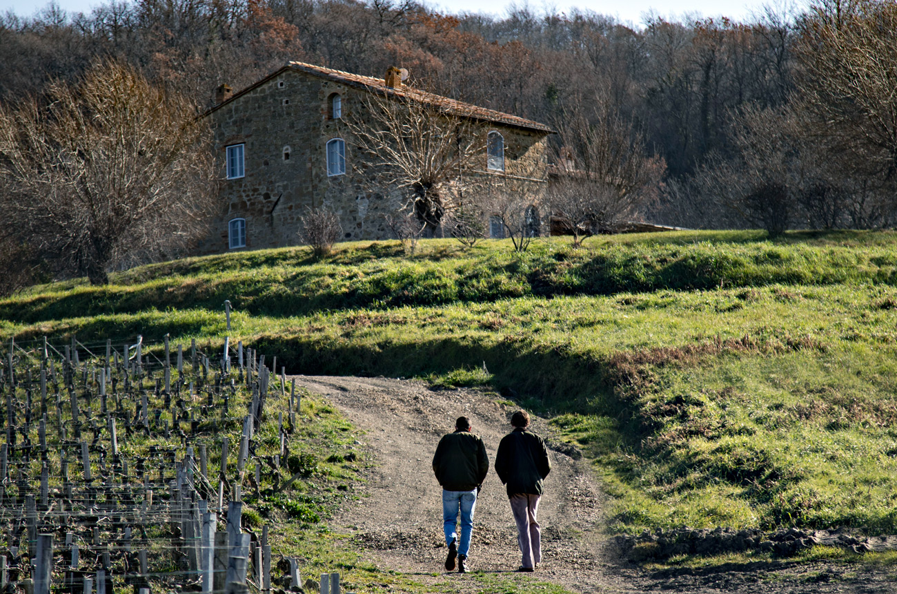 Tenuta di Trinoro: Producer profile & 18 wines tasted - Decanter