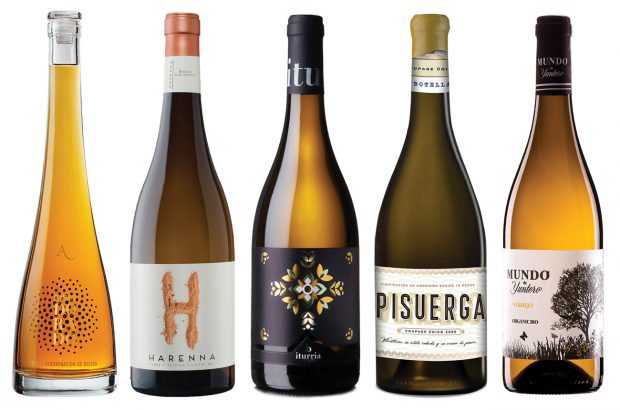 World Verdejo Day: Award-winning Spanish Verdejo wines - Decanter