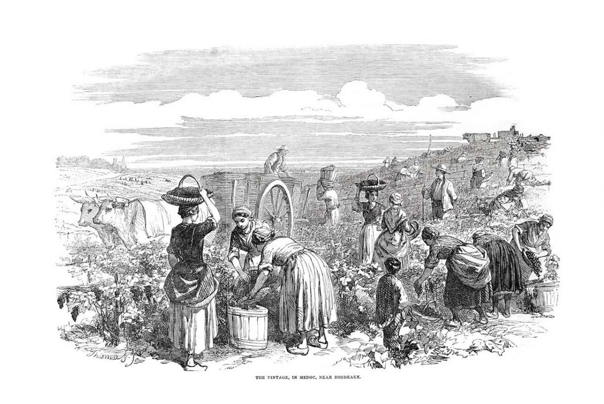 Wine of the times: Appreciation in the 19th century - Decanter