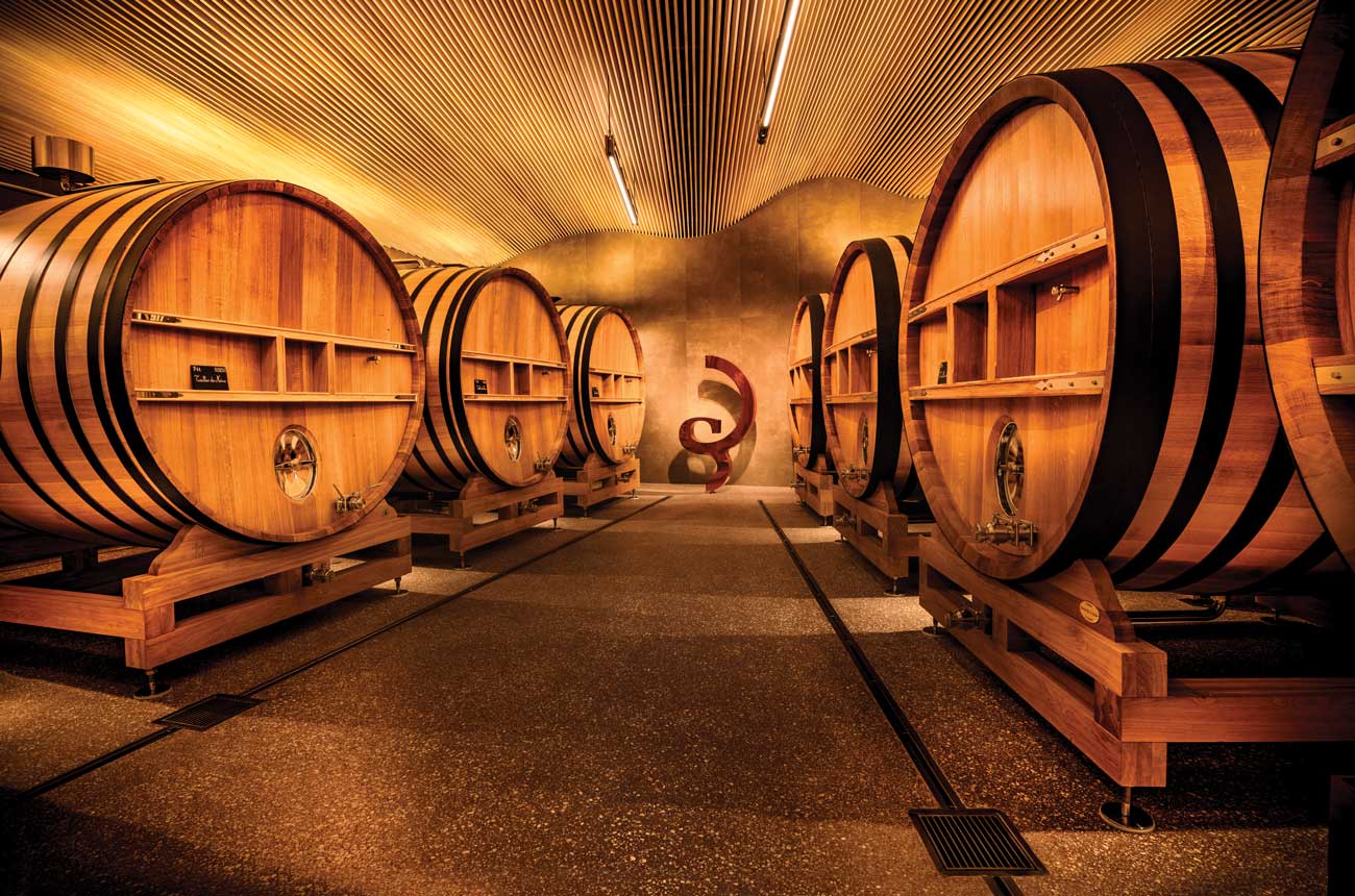 Oak in Champagne: A new chapter & 20 wines tasted - Decanter