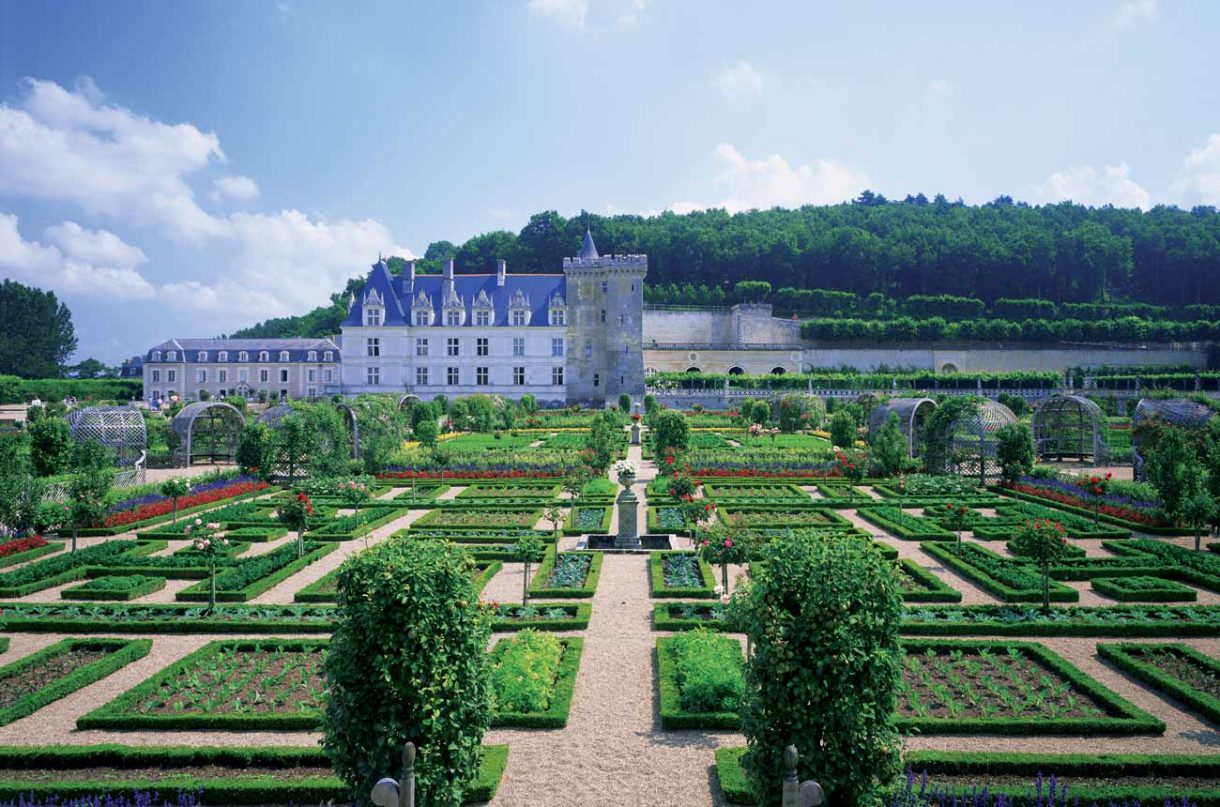 Tours and Touraine: A wine lover's guide - Decanter