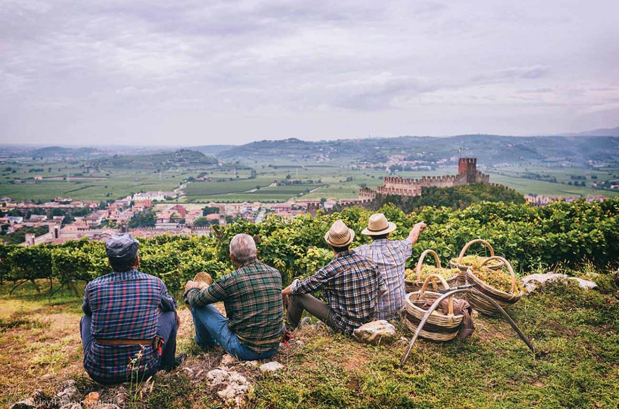 Soave - A masterclass in pioneering classicism - Decanter