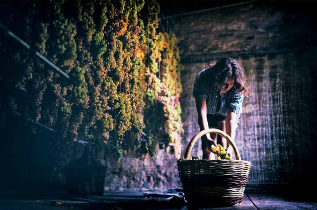 Soave - A masterclass in pioneering classicism - Decanter