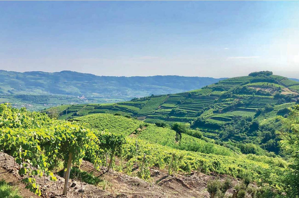 Soave - A masterclass in pioneering classicism - Decanter