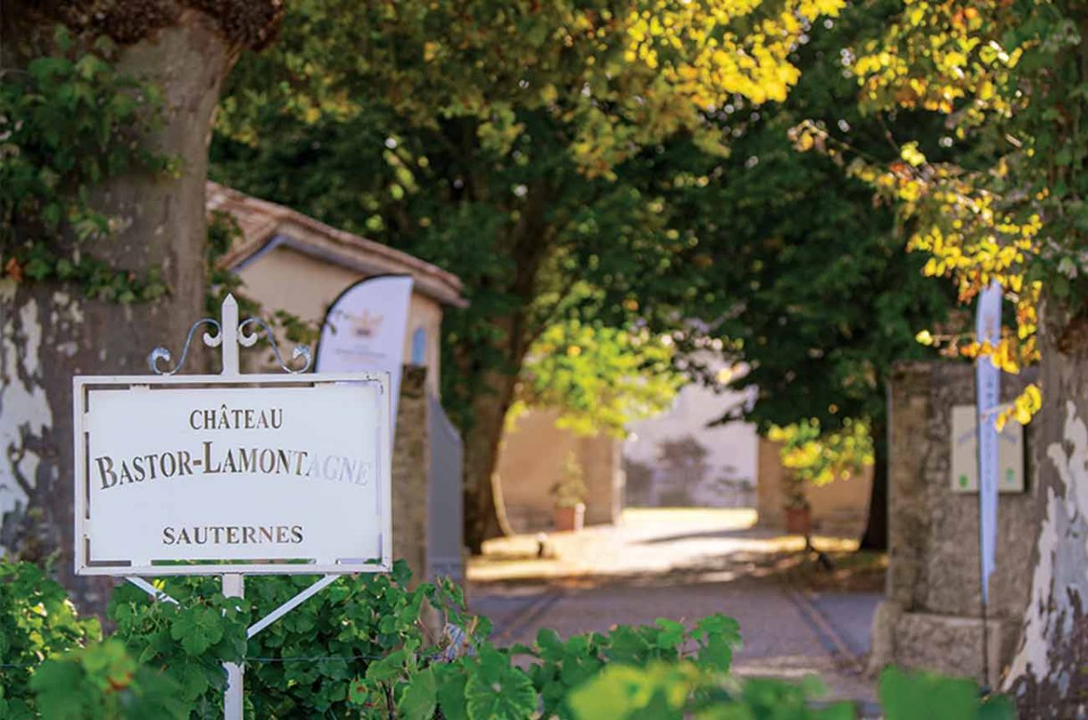 Château Bastor-Lamontagne - Traditional Sauternes, reinvented - Decanter