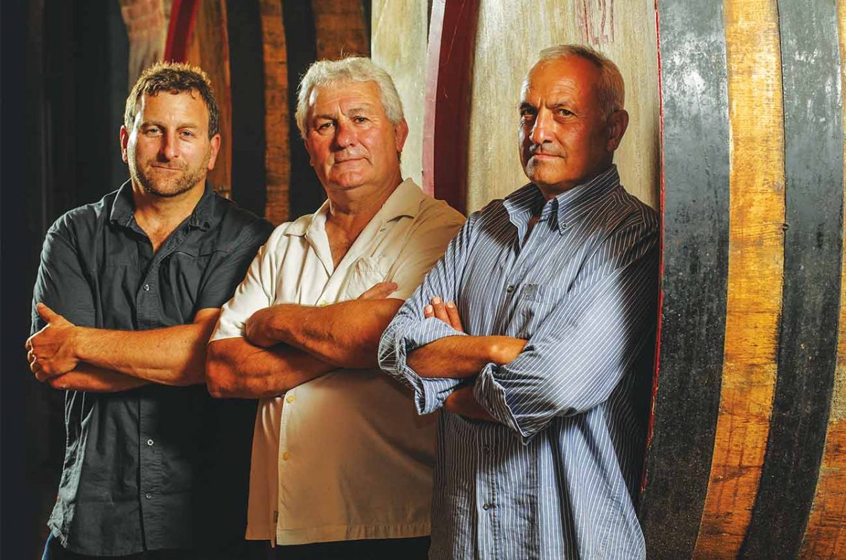 Tenuta di Arceno - The journey that never ends - Decanter