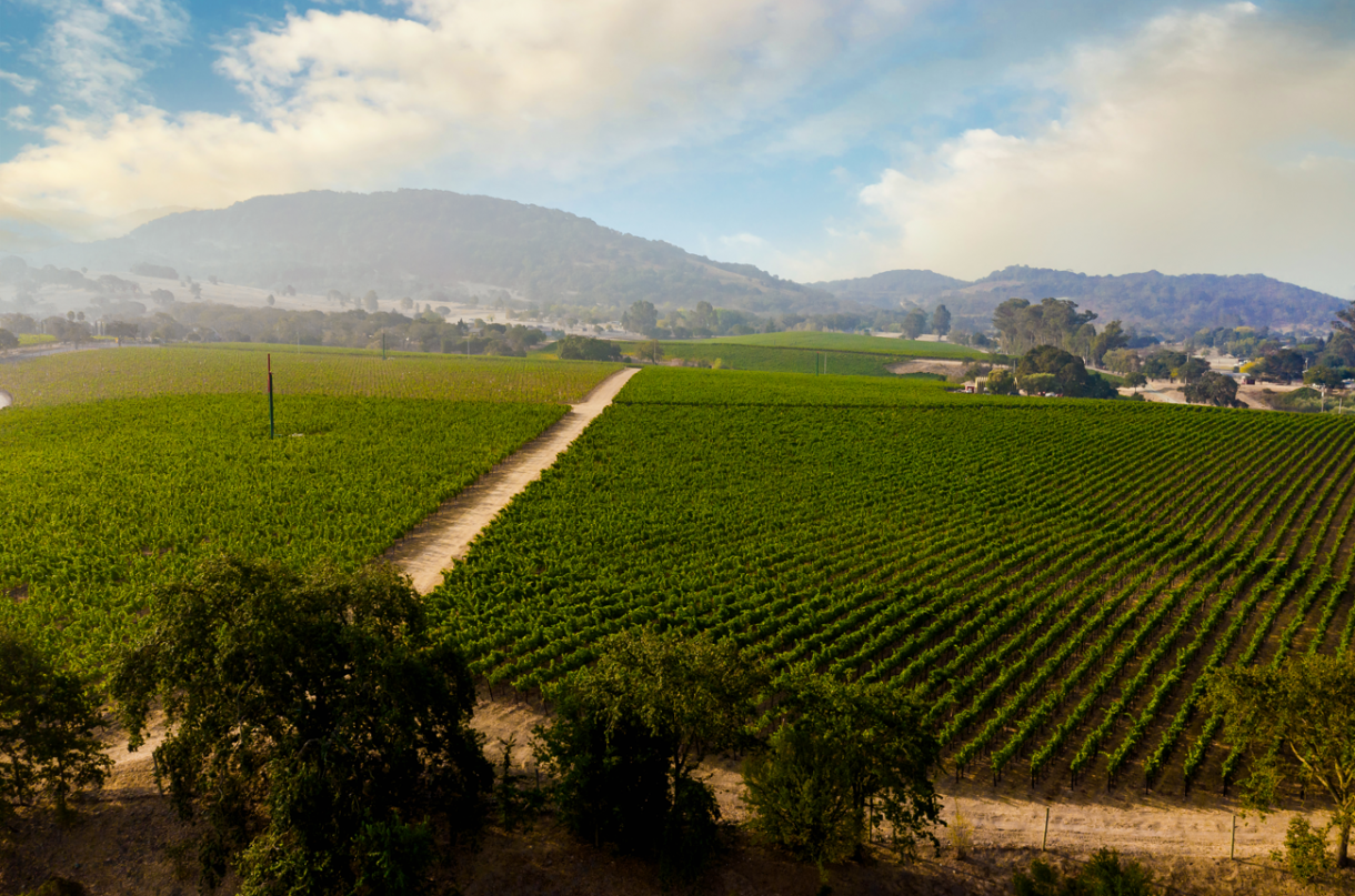 Coombsville 2020: The top Cabernets from this Napa AVA - Decanter