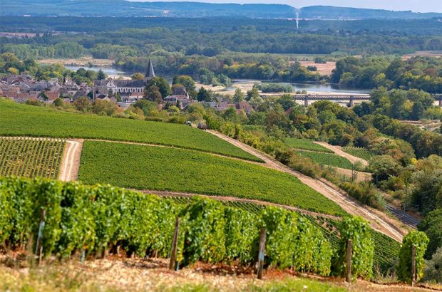 Meursault: Regional profile & 33 wines tasted - Decanter